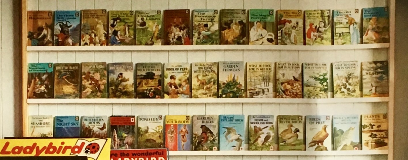 Ladybird Fly Away Home Shop • Ladybird Fly Away Home
