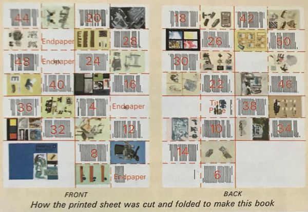 How it Works - The Printing Process • Ladybird Fly Away Home