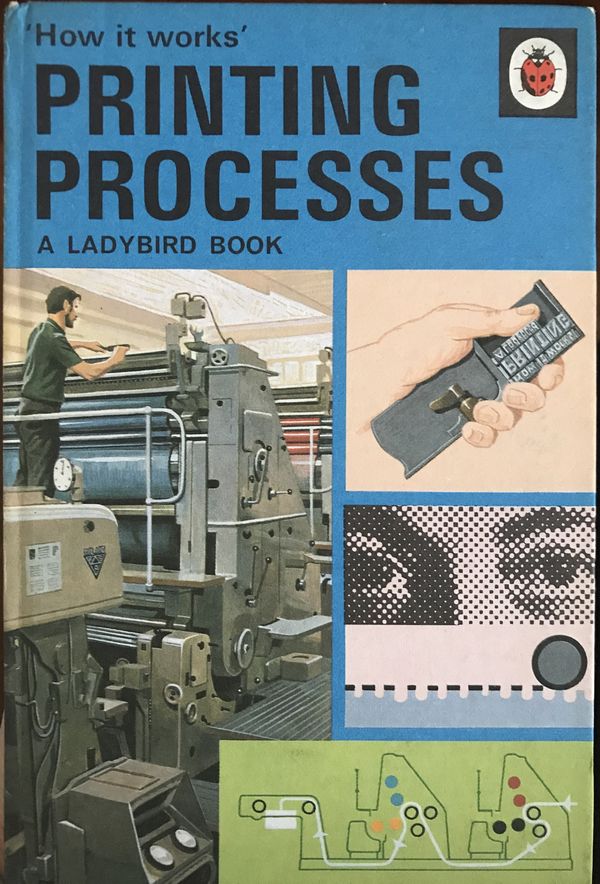 How it Works - The Printing Process • Ladybird Fly Away Home