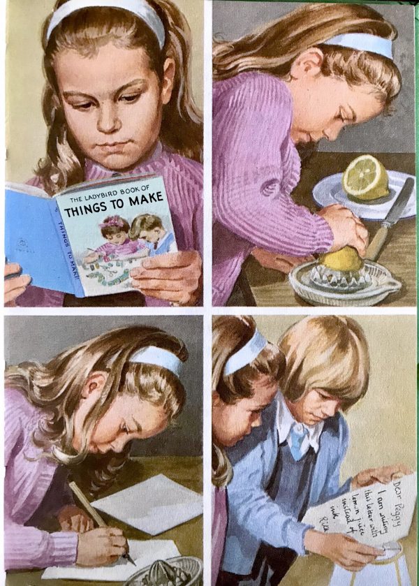 Remembering Lynne Bradbury • Ladybird Fly Away Home