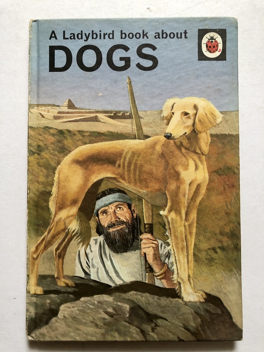 The Land of the Ladybird Book • Ladybird Fly Away Home