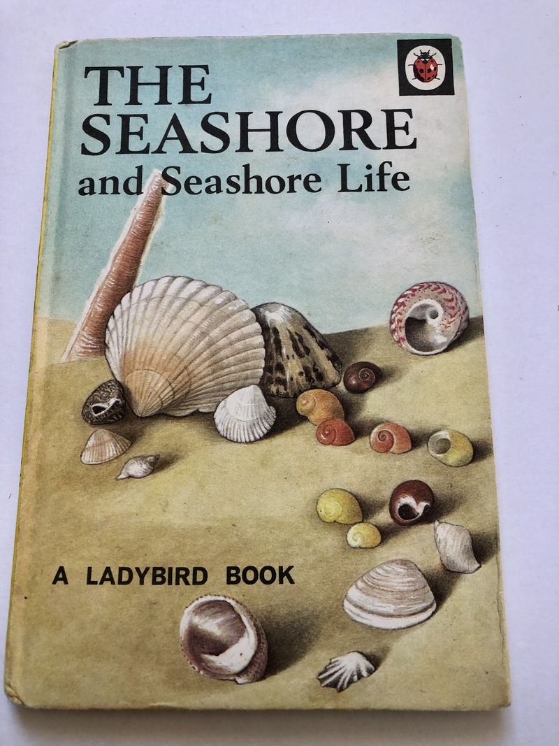 The Land of the Ladybird Book • Ladybird Fly Away Home