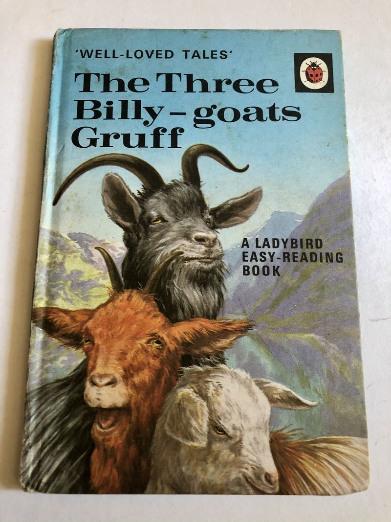 The Land of the Ladybird Book • Ladybird Fly Away Home