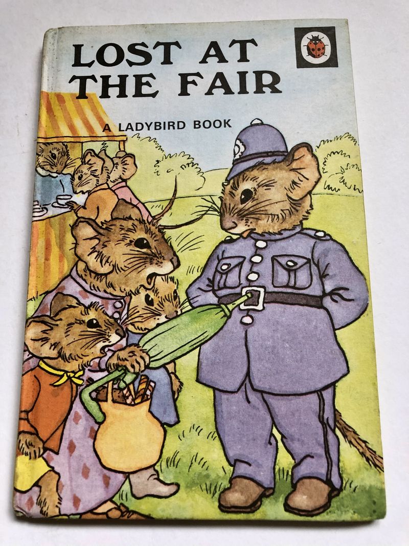 The Land of the Ladybird Book • Ladybird Fly Away Home